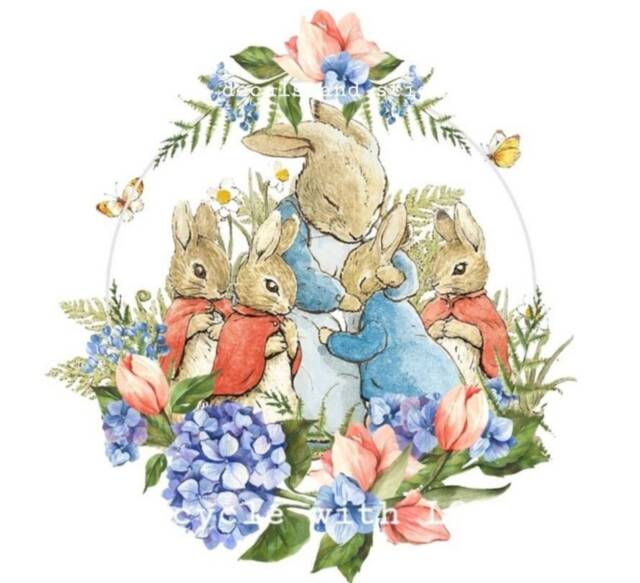 Furniture Transfers Peter Rabbit Dry Rub On Waterslide Vinyl Sticker Or ...