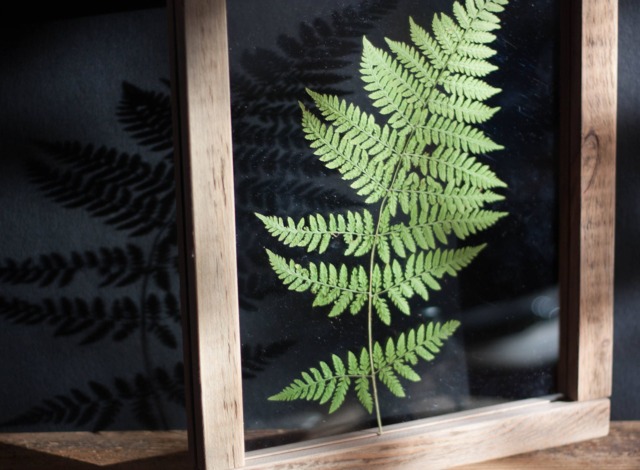 The Magic Of Fern - Large Wall Decor 10.5x12.5 by Etsy | uFurnish.com