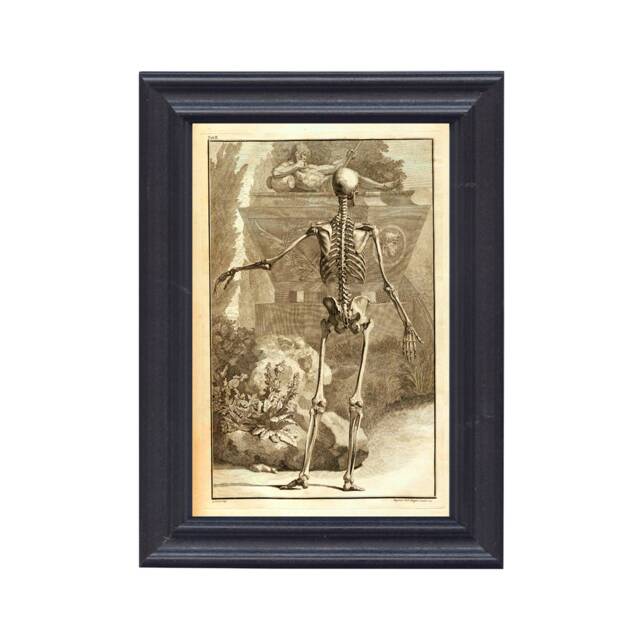 Skeleton At Monument Framed Print Behind Glass, Halloween, Gothic ...