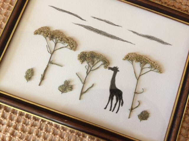 Herbarium Frame Of Dried Flowers Framed Herbarium Handmade Plant ...