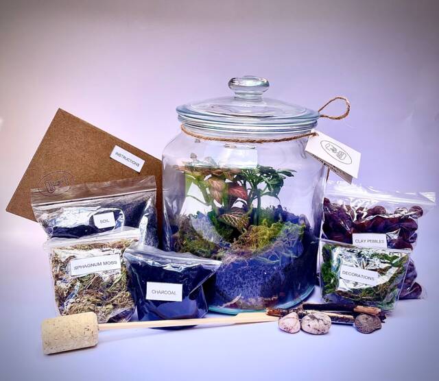 Diy Terrarium Kit With Plants, Glass Jar, Moss & Premium Substrate ...