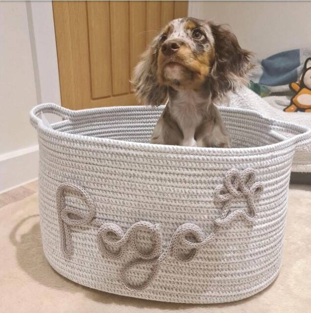 Your Pets Name - Knitted With Paw Print Decor Wire Word Cord ...