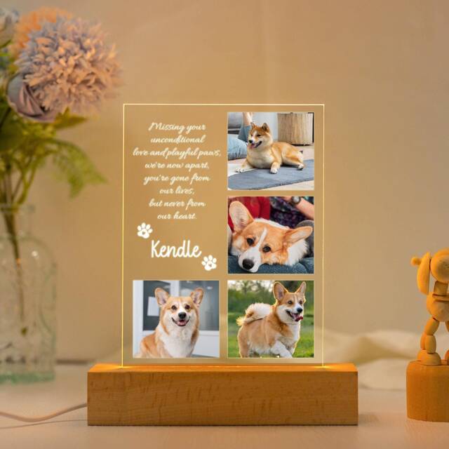 Pet Memorial Night Light Custom, Cat Sign, Pet Keepsake For Gift ...