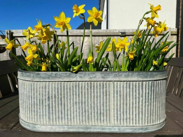 Galvanised Zinc Ribbed Metal 44cm Pot Planter - Garden Flower Plant ...