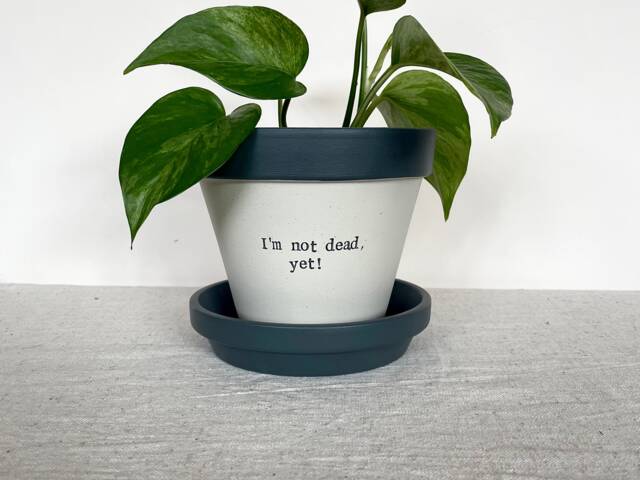 Indoor Plant Pot With Pun Gifts For House Plants Quotes, Personalised ...