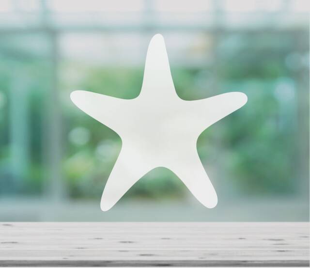 Set Of 3 Frosted Star Window Stickers, Etched Decorative Decal Glass ...