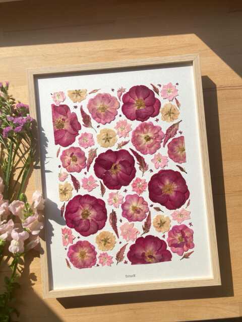 Rose Garden Herbarium, Framed Herbarium Of Dried Flowers, French ...