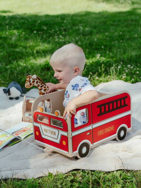 Custom Toy Storage For Stuffed Toys, Large Push&pull On Wheels, Boy ...