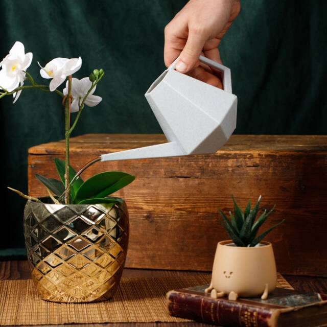 Econourish Biodegradable Pla Bioplastic Watering Can For The Conscious ...