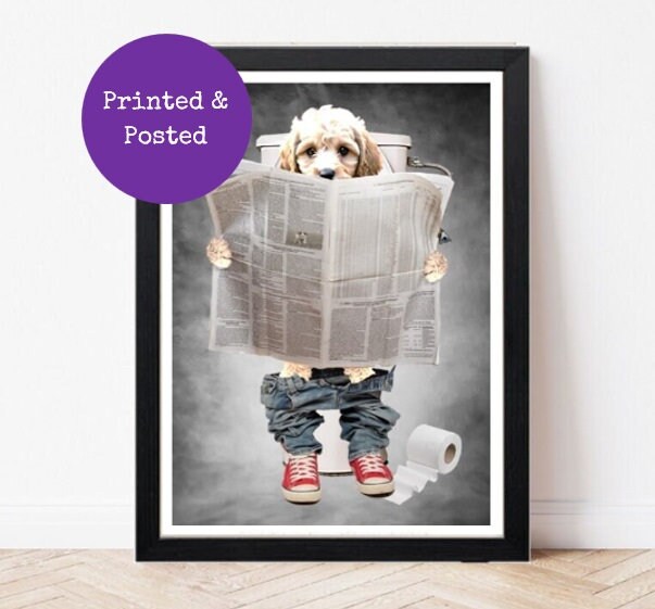 White Cream Cockerpoo Print - Cockapoo On Toilet Funny Bathroom Wall ...