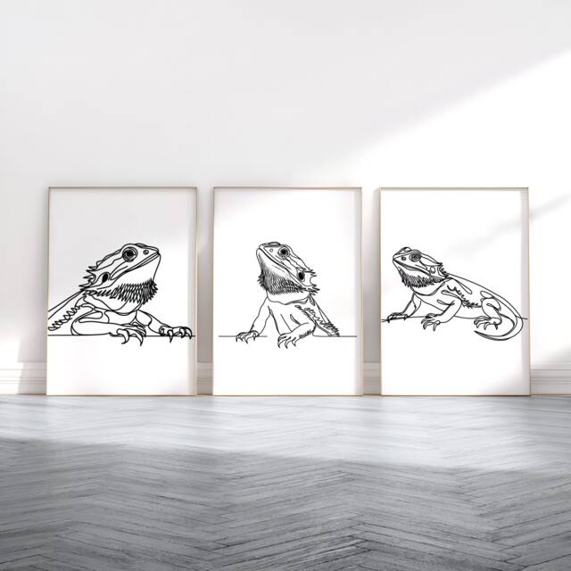 Bearded Dragon Poster Set - Of 3 Prints - Line Drawing Print Home Decor ...