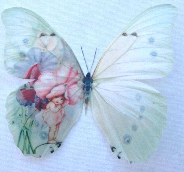 Sweetpea Baby Butterfly Gifts Shower New Vintage Print Ivory & Cream ...