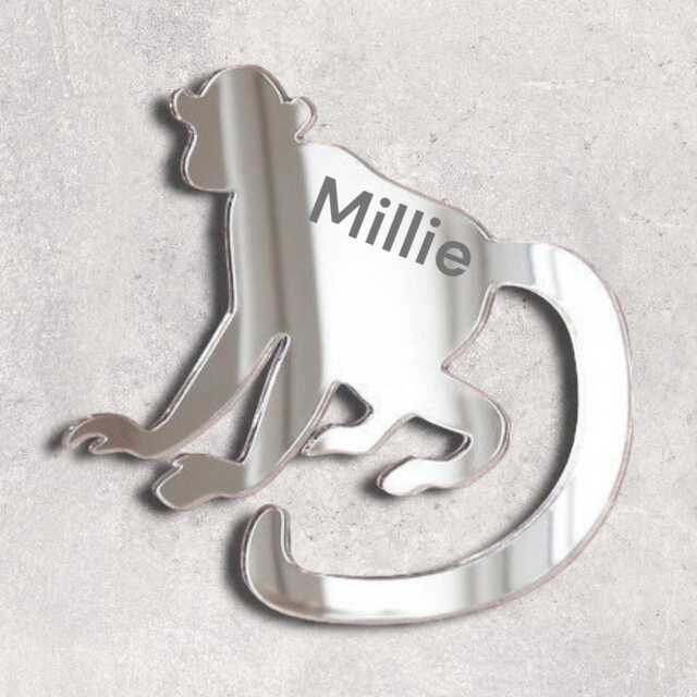 Personalized Monkey Acrylic Mirror Wall Art Nursery Decor by Etsy ...