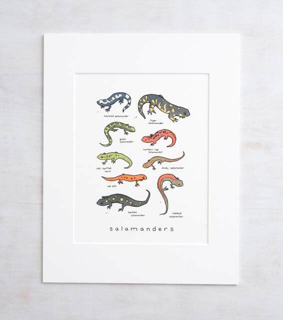 Salamanders Chart Print Animal Wall Art Kids Room Decor by Etsy ...