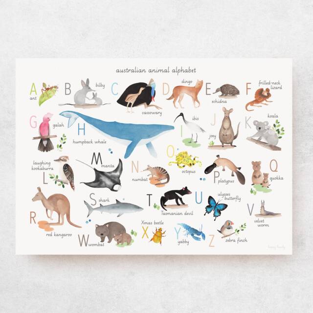 Australian Animal Alphabet - Australia Themed Nursery, Abc Native ...
