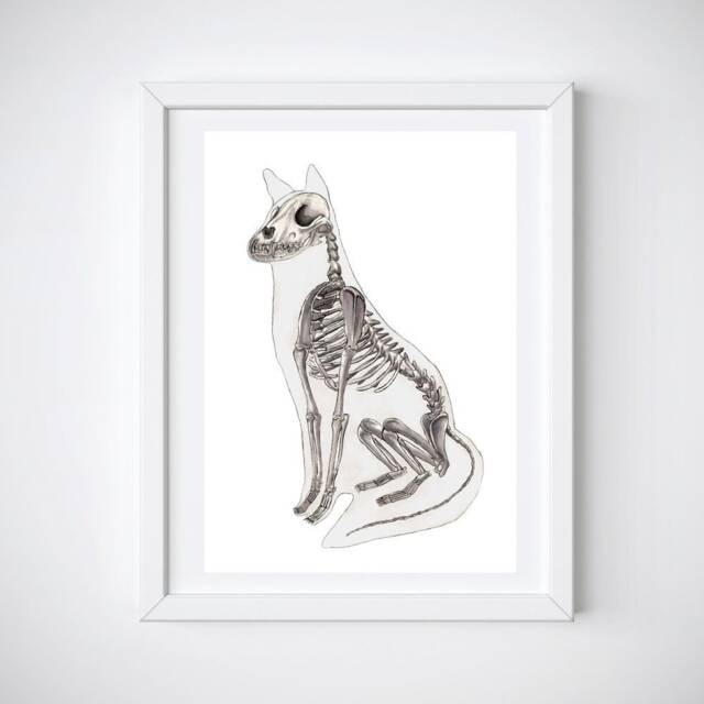 Fox Skeleton Art Print Anatomy Wall Artwork, Watercolor Print, Animal ...