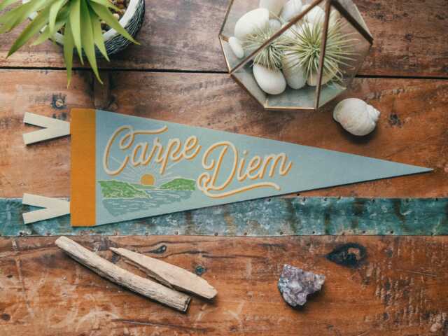 Carpe Diem Felt Pennant - Inspirational Banner, Seize The Day Home ...