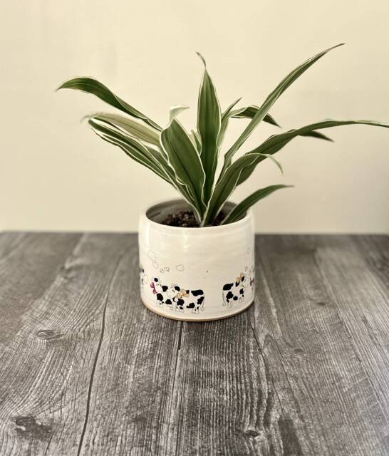 Handmade Ceramic Cow Planter White Pottery, Indoor Plant Pot by Etsy ...