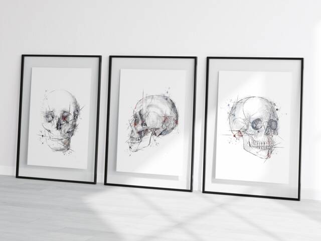 Set Of Human Skulls , Skull Sketch, Art Prints, Print Gift Set ...