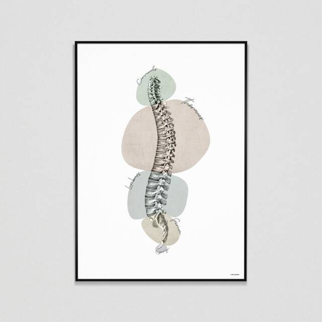 Vintage Spine Poster - Lateral View by Etsy | ufurnish.com