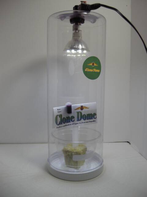 "Turbo ""Clone Dome" by Etsy | ufurnish.com