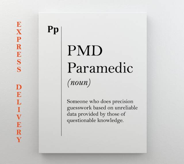 Paramedic Definition Canvas Print, Pmd Gift, Office Decor, Medical ...