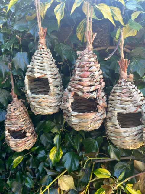 Set Of 5 Small Bird Nests Natural Wicker Shelter Outdoor Hanging Nester ...