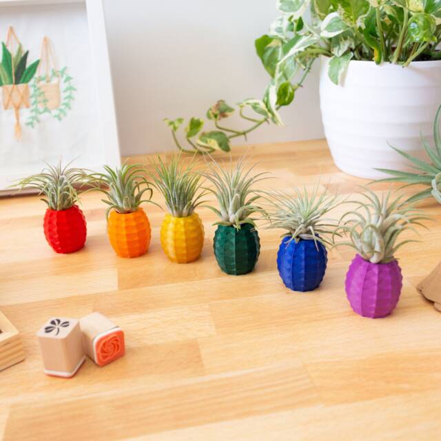 Mini Rainbow Pineapple Air Planters - Gift, Plant Holders, Gay Pride ...
