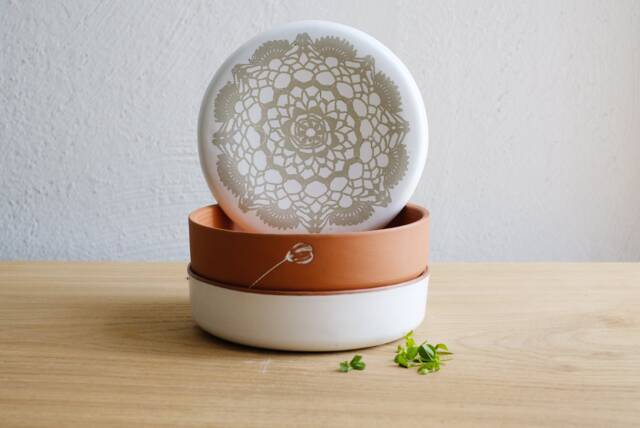 Clay Sprouter, Spouting Seed Microgreen Sprouting Seeds, Germinate ...