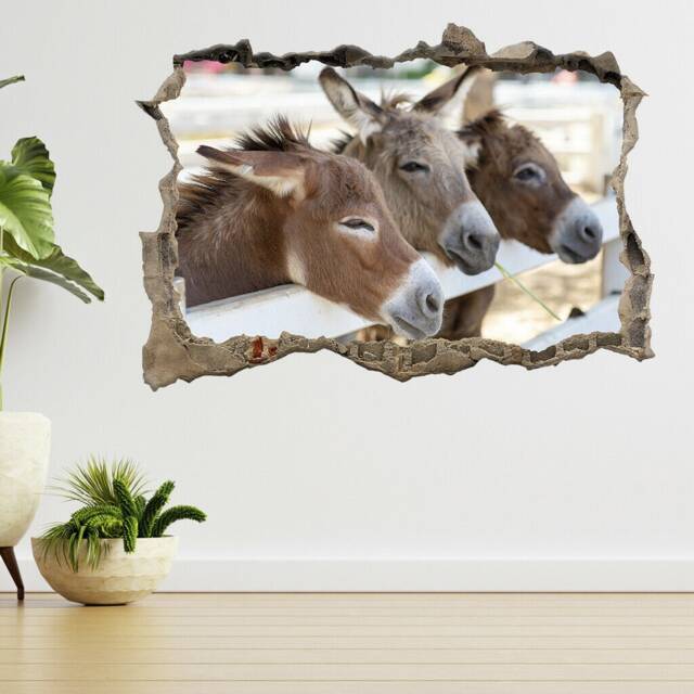 A Nice Donkey Under The Rain 3D View Wall Sticker Poster Decal A996 by ...