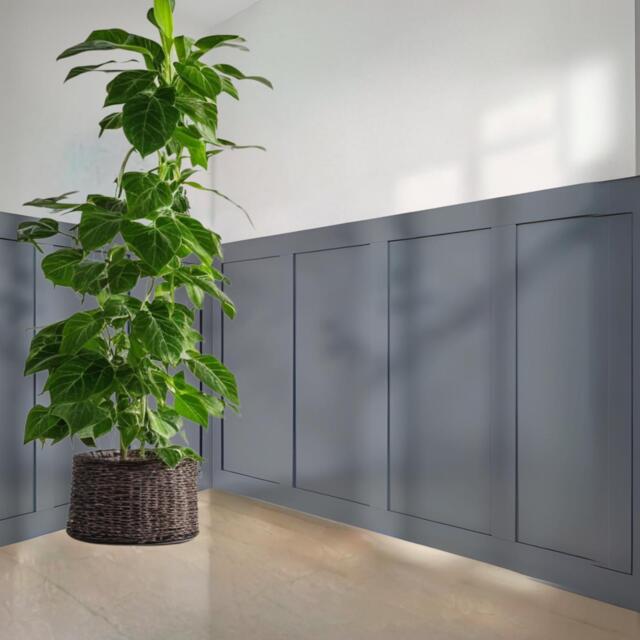 Diy Wall Panelling Strips - Shaker Mdf Kit by Etsy | ufurnish.com