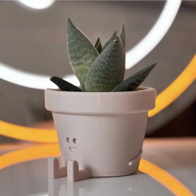 Sitting Plant Pot, Cute Planter, Planter Character, Indoor Cactus ...