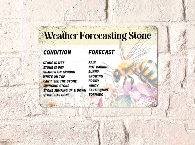 Funny Bee Weather Forecasting Sign, Outdoor & Garden Metal Wall Art ...