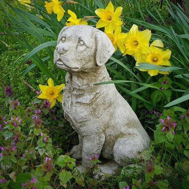 Sitting Labrador Stone Statue - Outdoor Dog Puppy Garden Animal ...