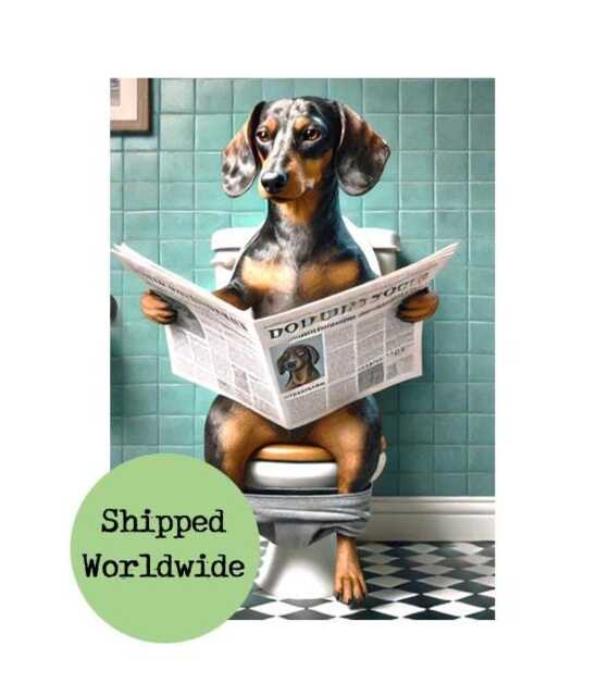 Brown Dapple Dachshund On Toilet Reading Newspaper Print Sausage Dog ...