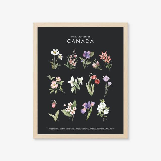 Offical Flowers Of Canada - Dark - Art Print, Canada, Province, City ...