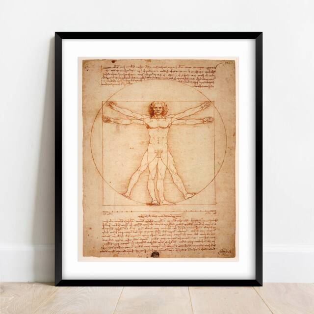 Vitruvian Man Drawing By Leonardo Da Vinci, Manuscript, Renaissance ...