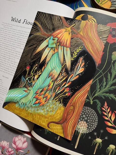 Nutmeg Original Illustration, Watercolour, Markers A4 Art by Etsy ...