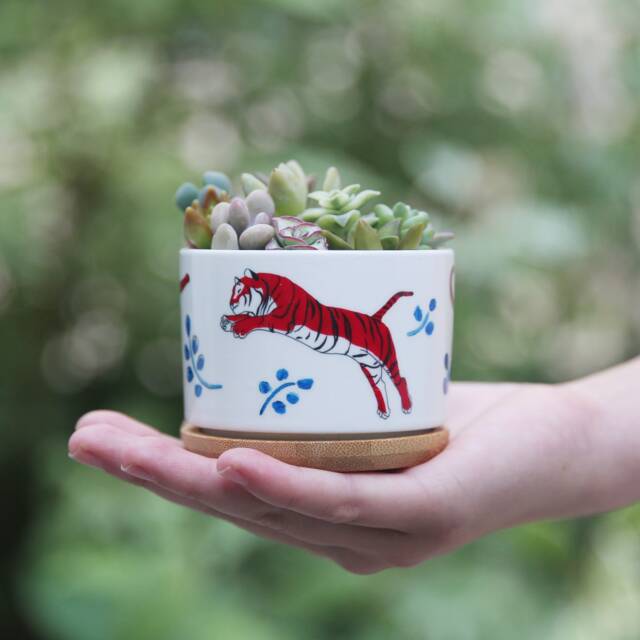 Year Of The Tiger Ceramic Succulent Planter With Bamboo Tray by Etsy ...