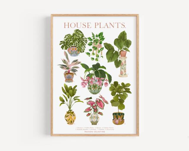 House Plants Poster, Botanical Illustration, Nature Plants Home ...