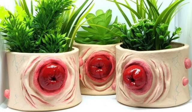 Prolapse Plant Pot, Weird Gift, Strange Cursed Gifts For People, Creepy ...