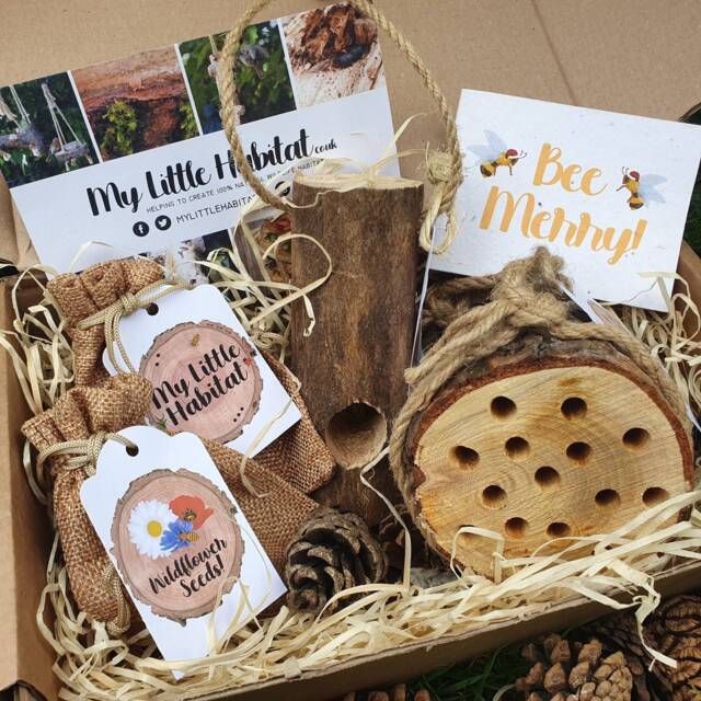 Christmas Birds & The Bees Gift Set With Plantable Card - Eco Friendly Bee Hotel Gardener Wild ...