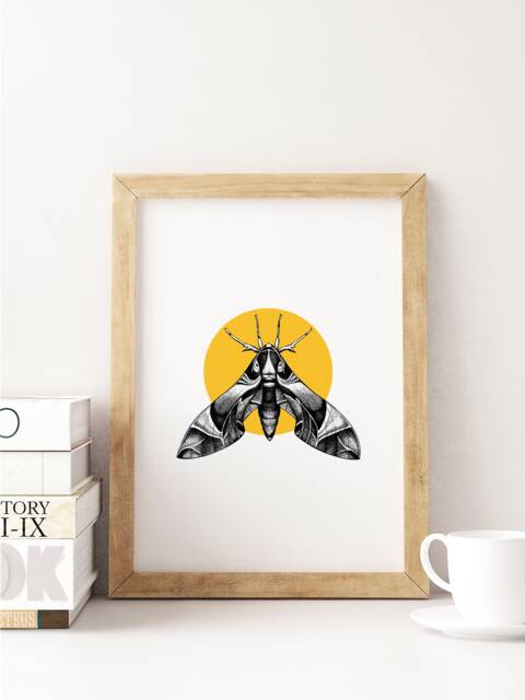 Choose Your Colour Abstract Moth Butterfly Minimal Unframed Print ...