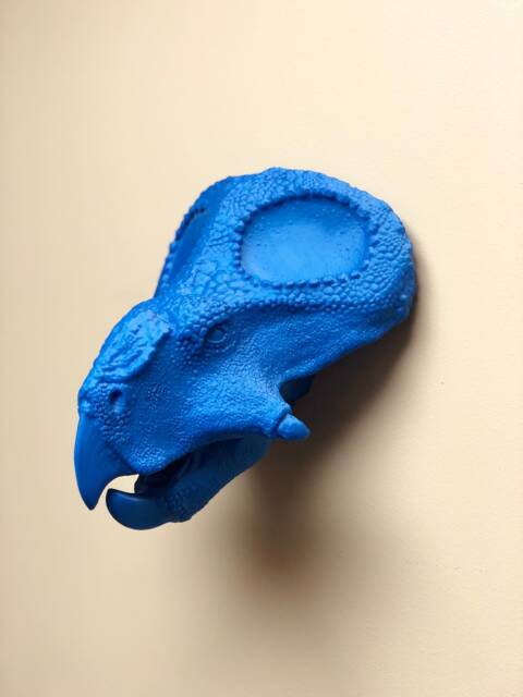 Protoceratops Head Wall Art Mount - 3D Printed Bust by Etsy | ufurnish.com