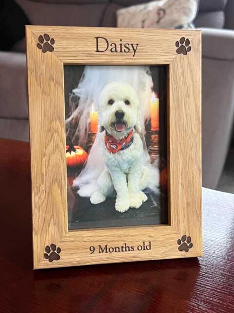 Engraved Dog Photo Frame Personalised With Name & Date. For Your Furry ...