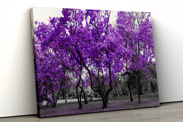 Purple Tree Set in A Black & White Park Home Decor Nature Framed Canvas ...