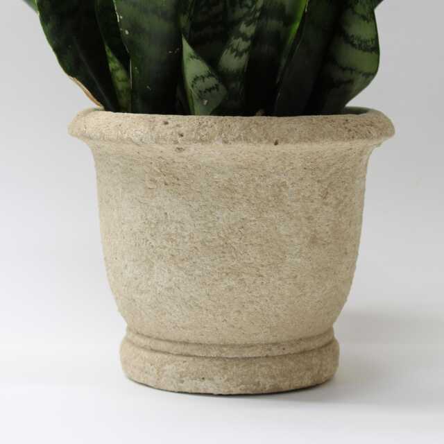 Distressed Indoor Plant Pot - Weathered Planter Rustic Houseplant by ...
