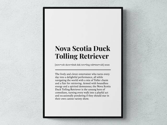 Nova Scotia Duck Tolling Retriever Funny Definition Dog Wall Art Print ...
