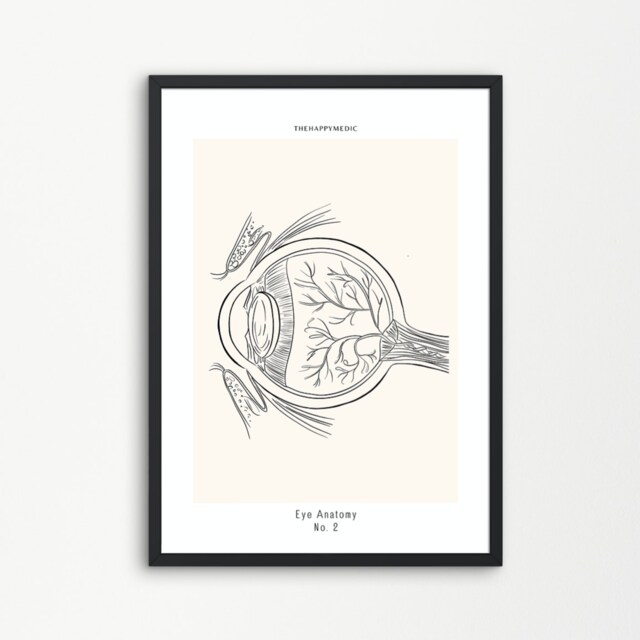 Eye Anatomy Print Line Art Poster A4 A5 A2 A3 Doctor Optometry ...
