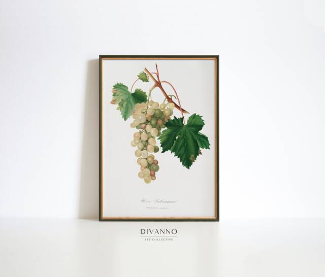 Vintage Fruit Poster, Grape Print, Vineyard Wall Art, Botanical Wine ...